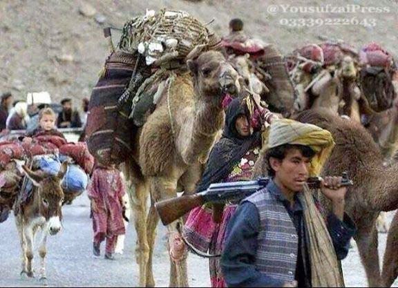 The Yousafzai State of Swat: Pashtunes Tribes Cochian