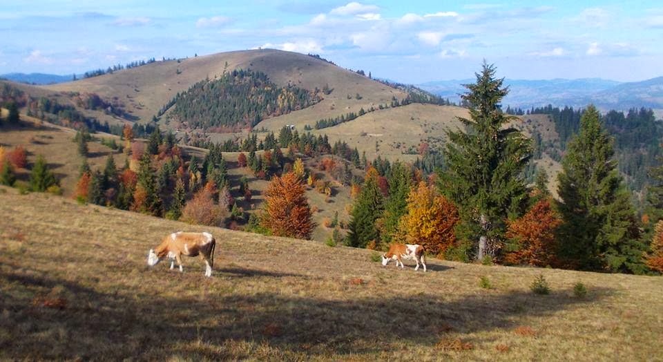 A MAGYAROK TUDÁSA: A CSÁNGÓKRÓL