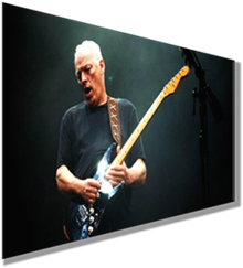 Pink Floyd Ilustrado: Jon Carin