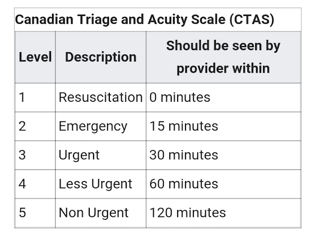 Triage (The Priority Of Patients) - Mr. Green Healt Nurse