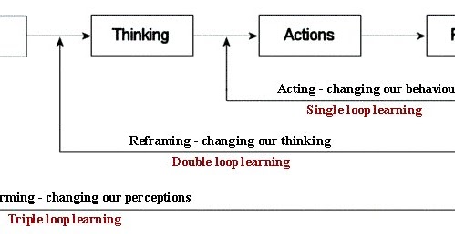 Coaching Educativo: Single, Double & Triple Loop Learning en contextos ...