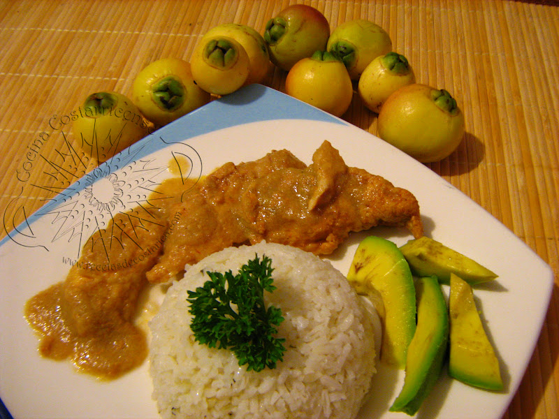 Cocina Costarricense: pollo con salsa manzana rosa