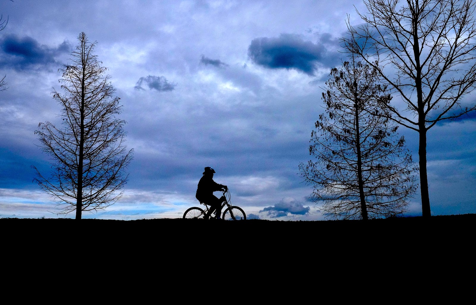 Final Vision: evening ride