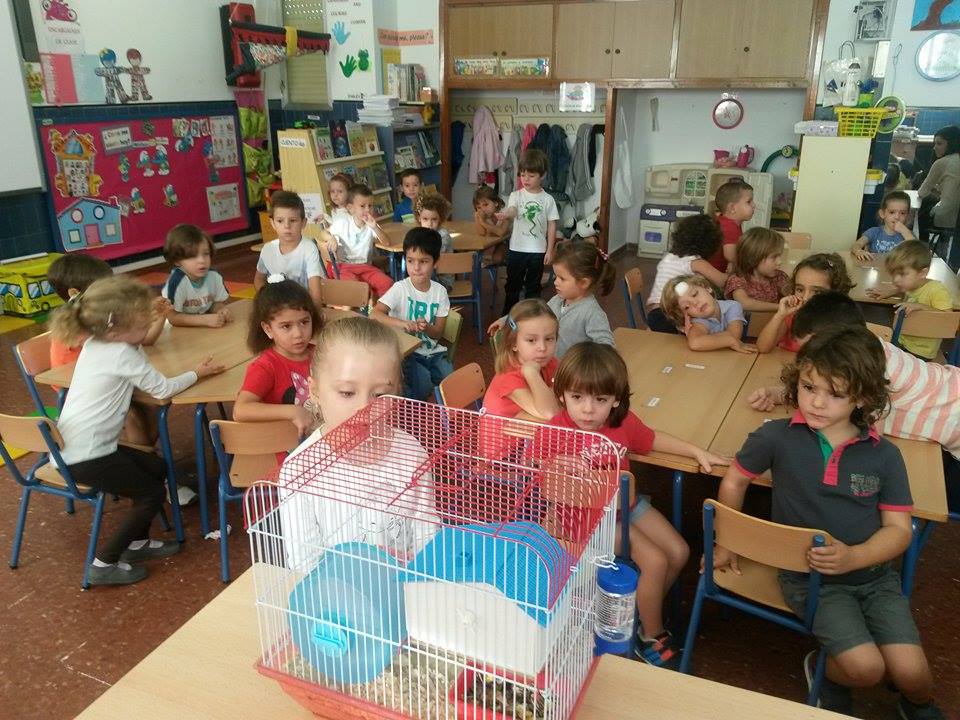 Río Experiencias: Mascotas en clase