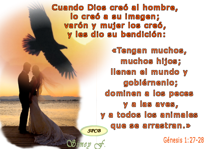 Palabra de Dios: El séptimo día terminó Dios lo que había hecho, y ...