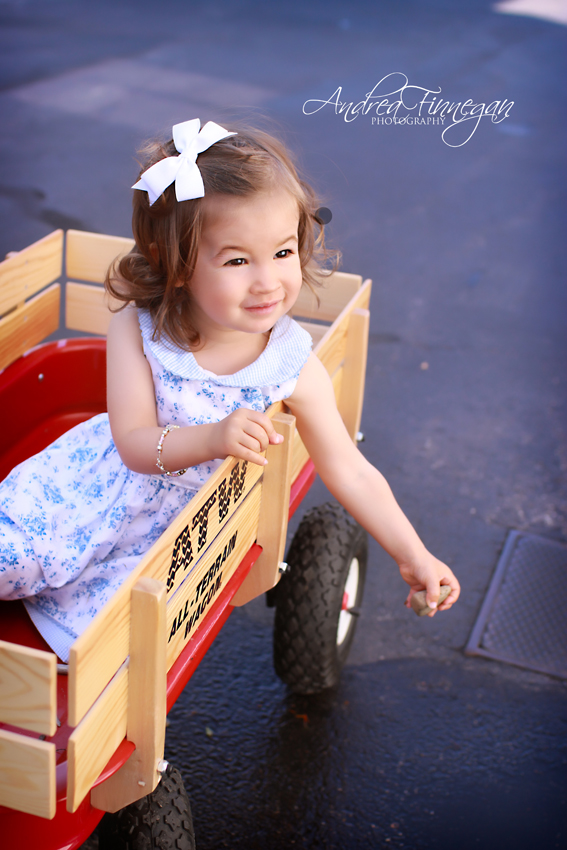 Andrea Finnegan Photography