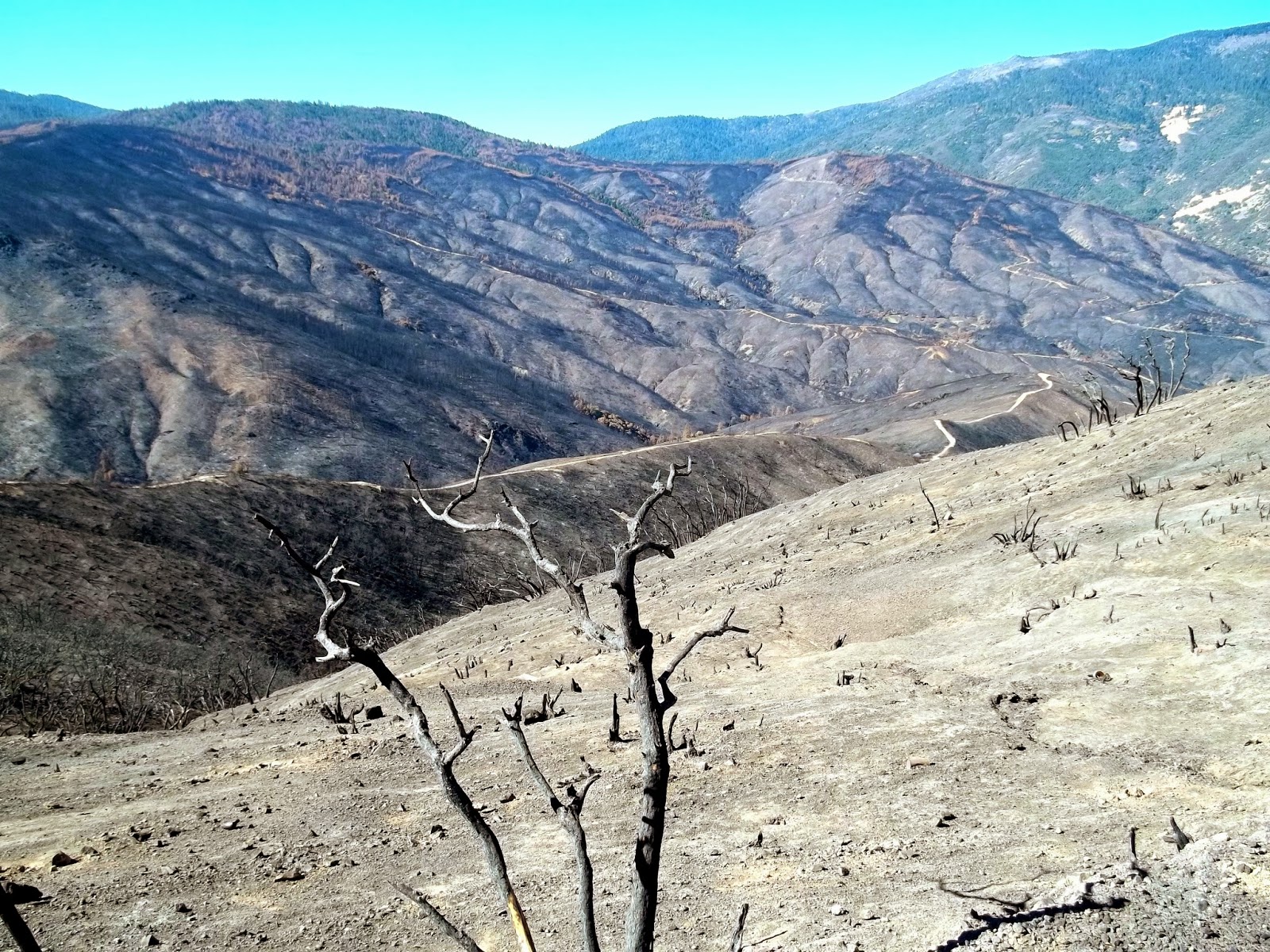 Official Quiet Warrior Racing Blog: Post Fire Travel Management Tools ...