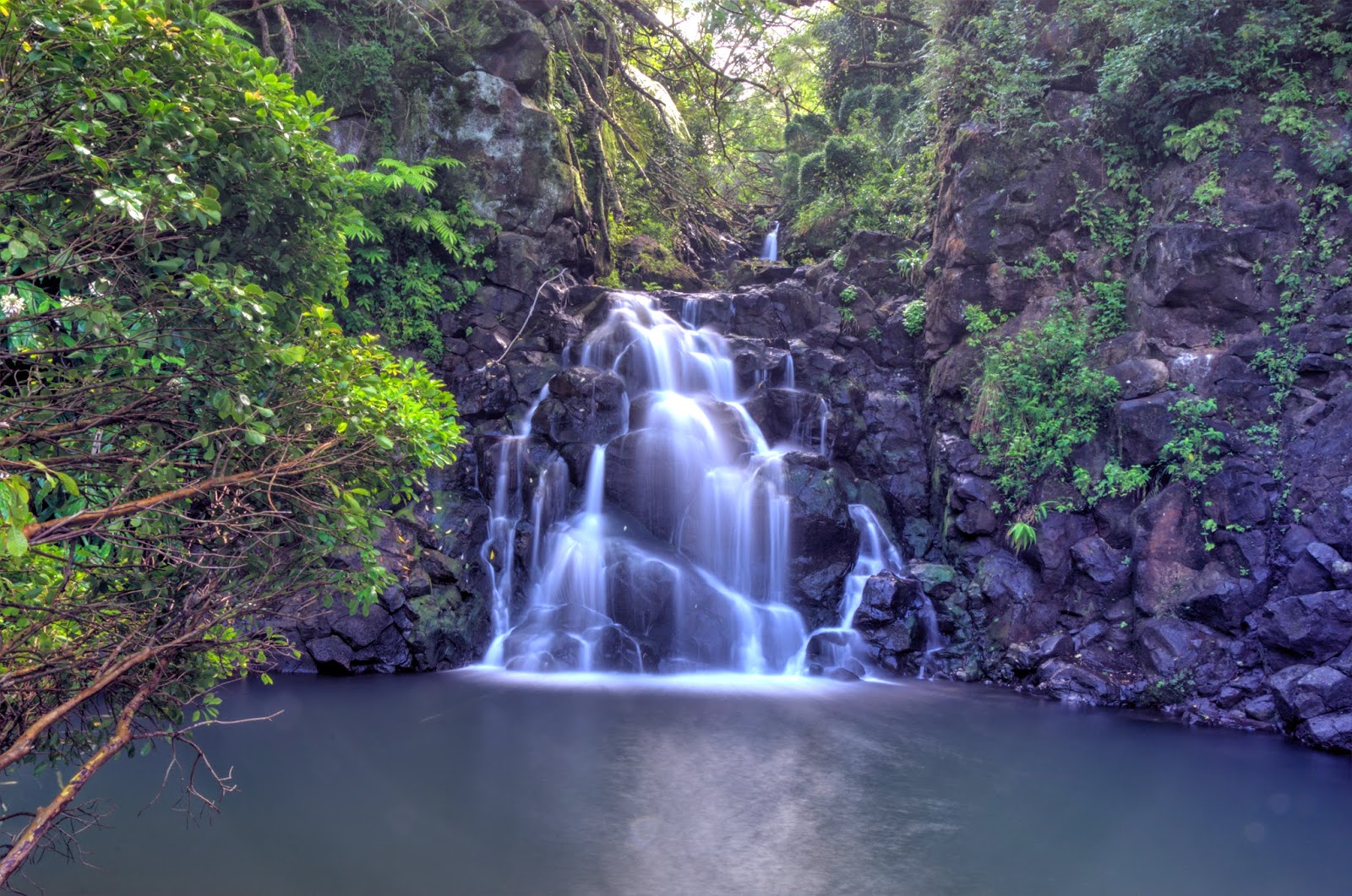 Haole Hiking: Kalihi Ice Ponds