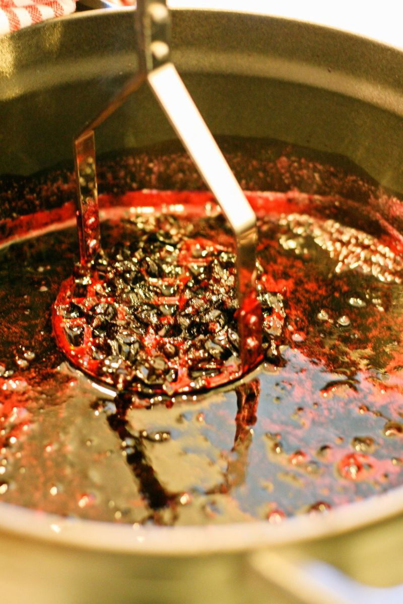 Perfectly imperfect : Syrup of Cassis~Blackcurrant Syrup~