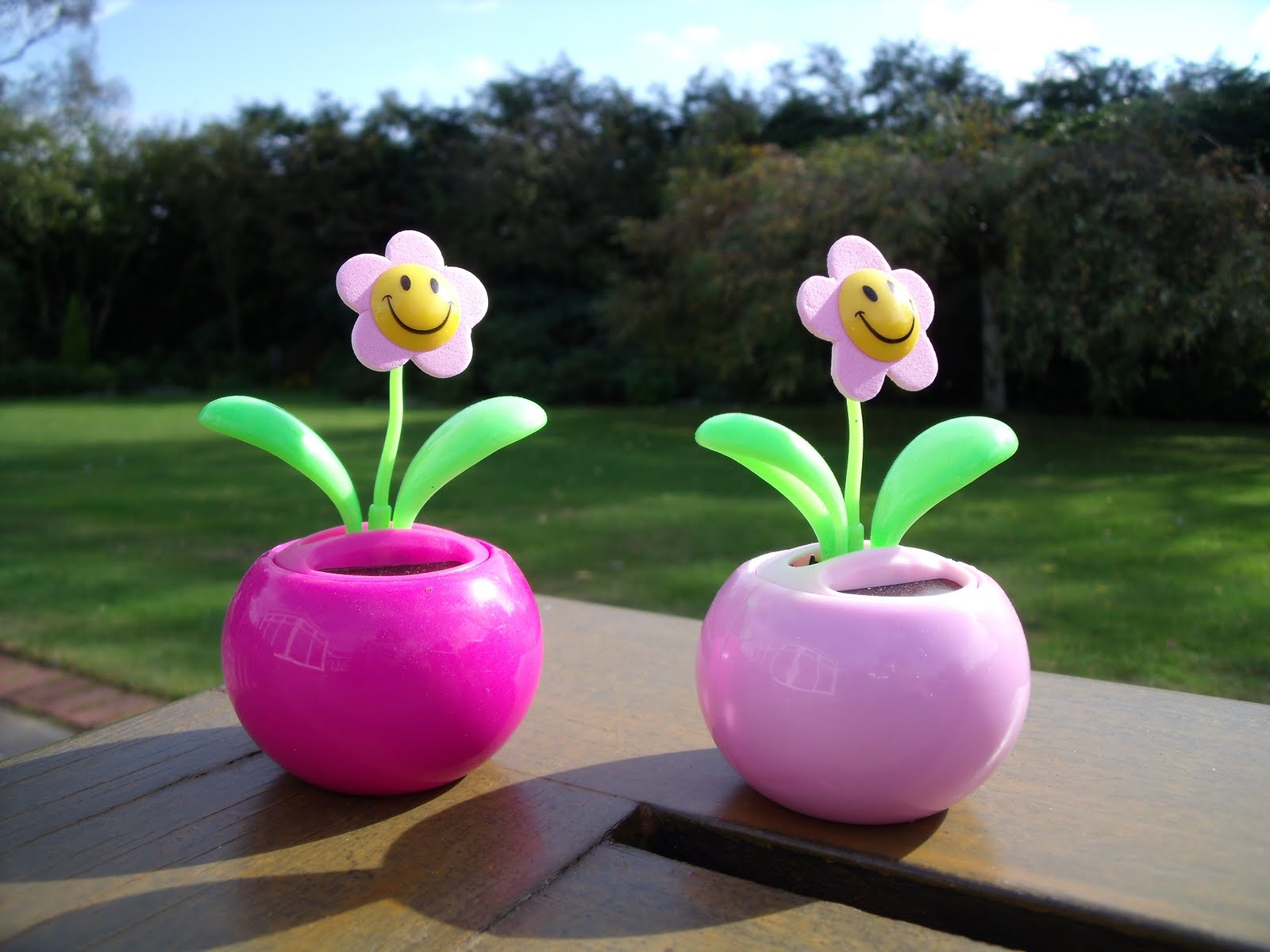 Garden Divas Blog: How time flies