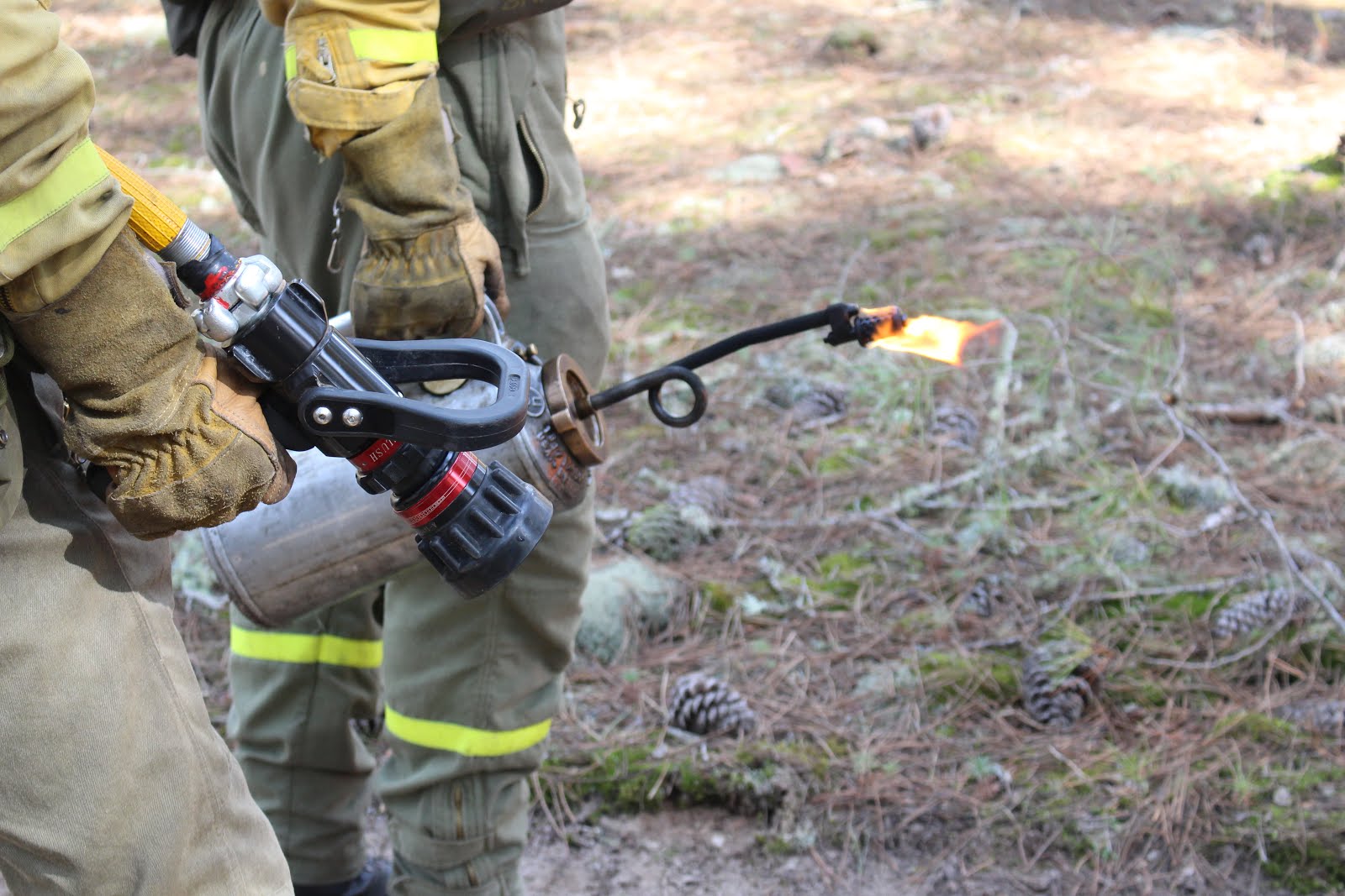 FuegoLab: Plantando Cara al Fuego: innovación educativa para convivir ...