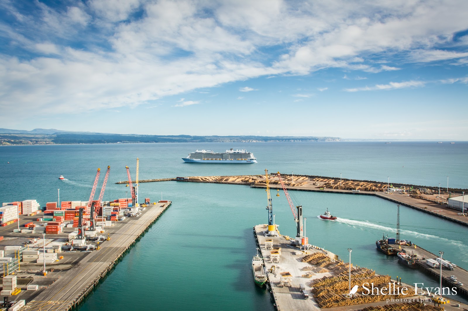 Two Go Tiki Touring: Nine Weeks In Napier- Part 4; City at Sea