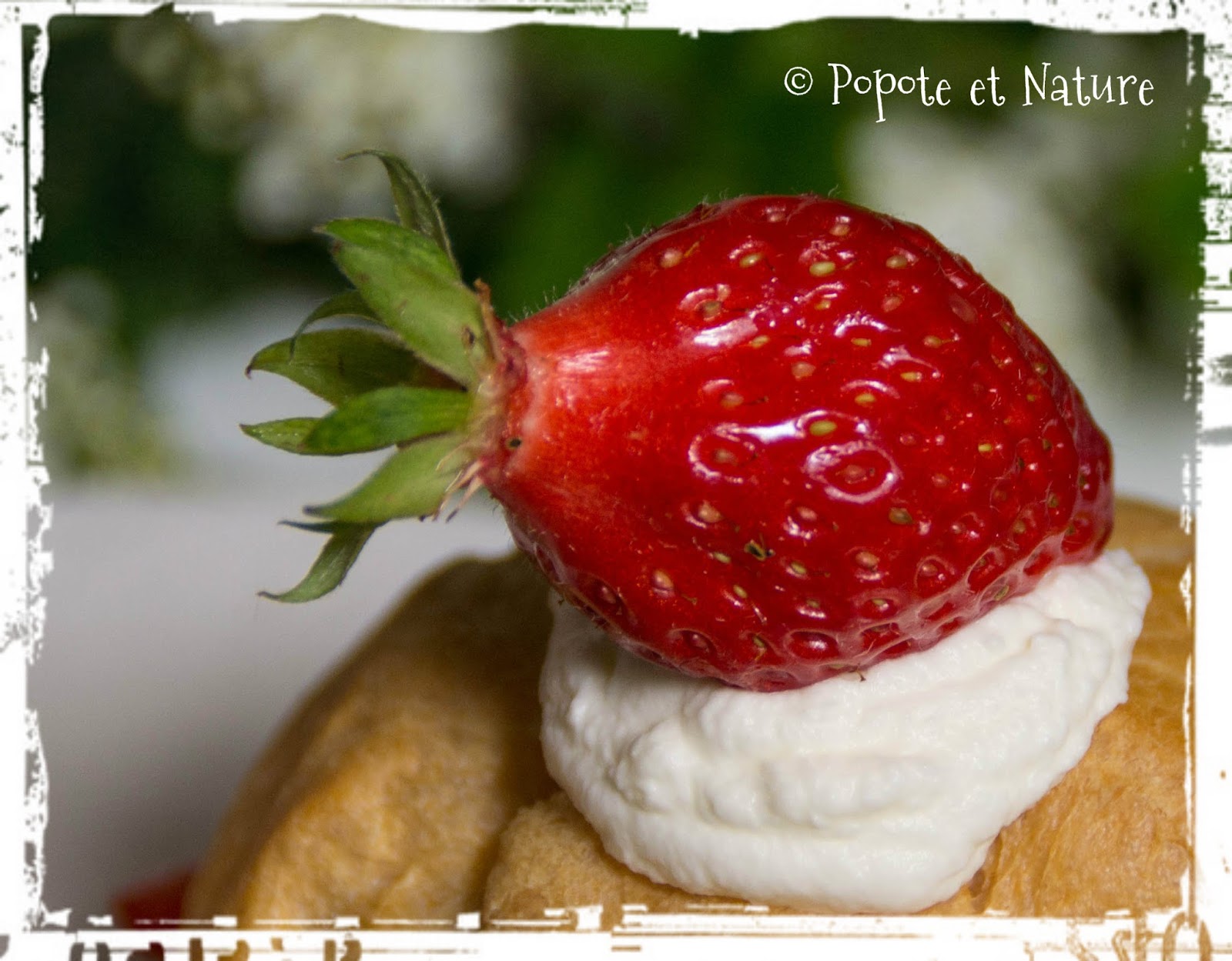 Popote et Nature: Des choux aux fruits frais avec une chantilly ...