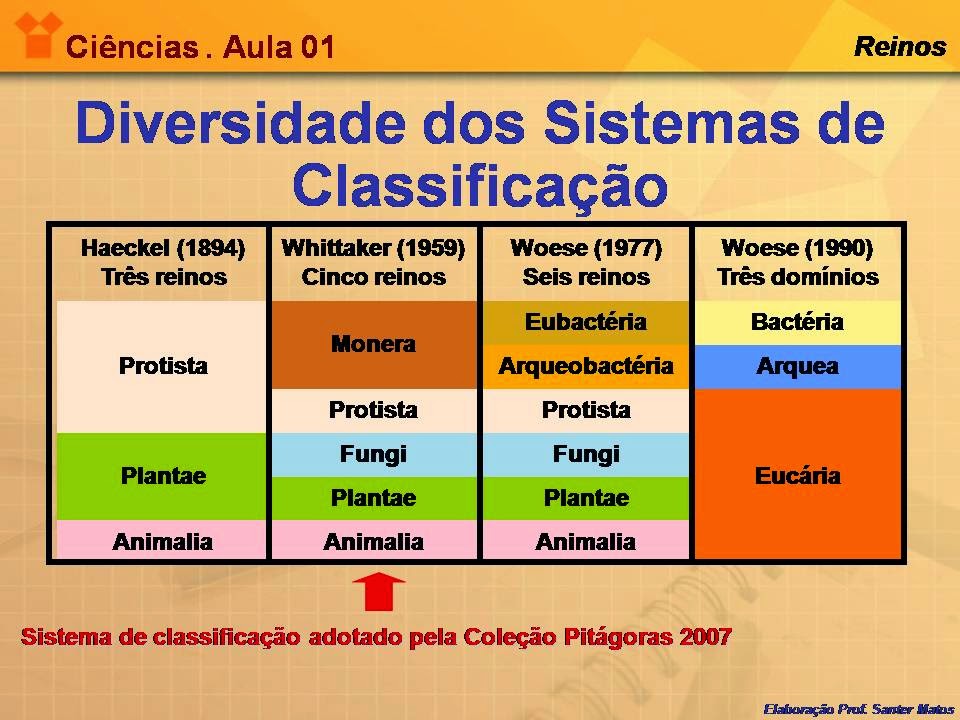 ENCANTOS DA CIÊNCIAS: 7º ano Classificação dos seres vivos