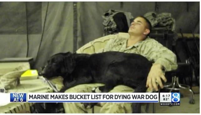 Wounded Times: Marine Honors Dying War Dog With Bucket List