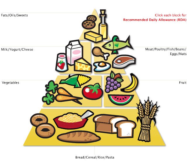 myenglishblog : Food pyramid