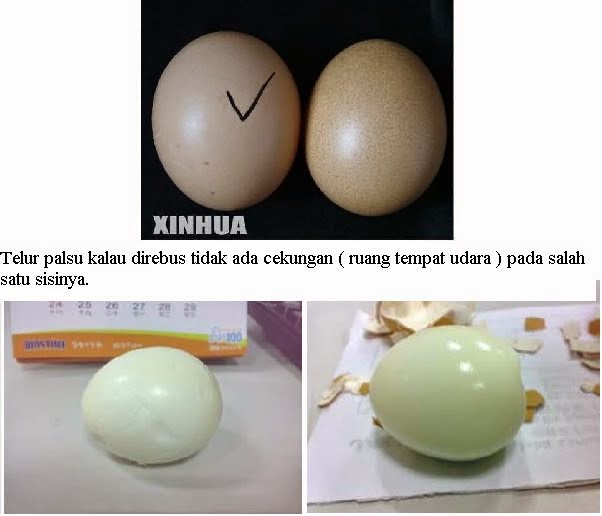 awas telur palsu.!!! | Meraih Ilmu Syar'i