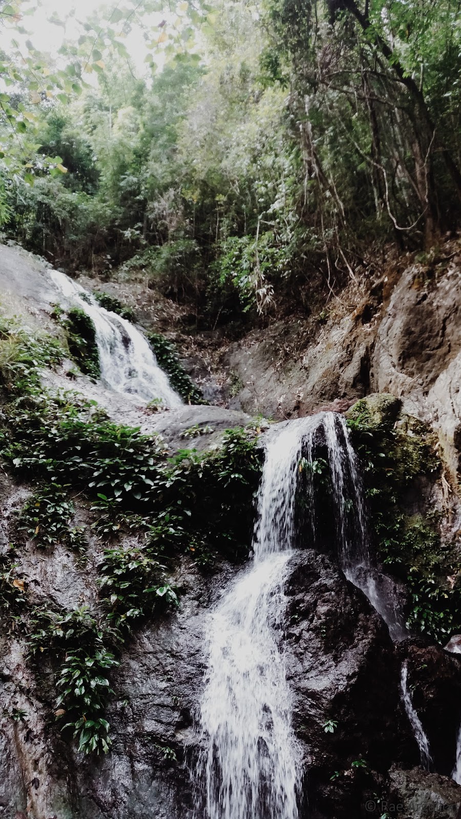 MT. MAYNOBA'S SEA OF CLOUDS — RAESCAPE