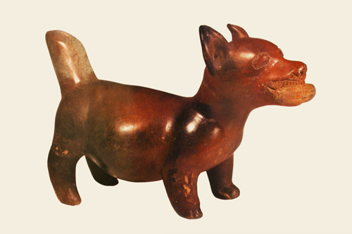 || Itzcuintli || Perro Mesoamericano: EL PERRO Y EL MAÍZ.