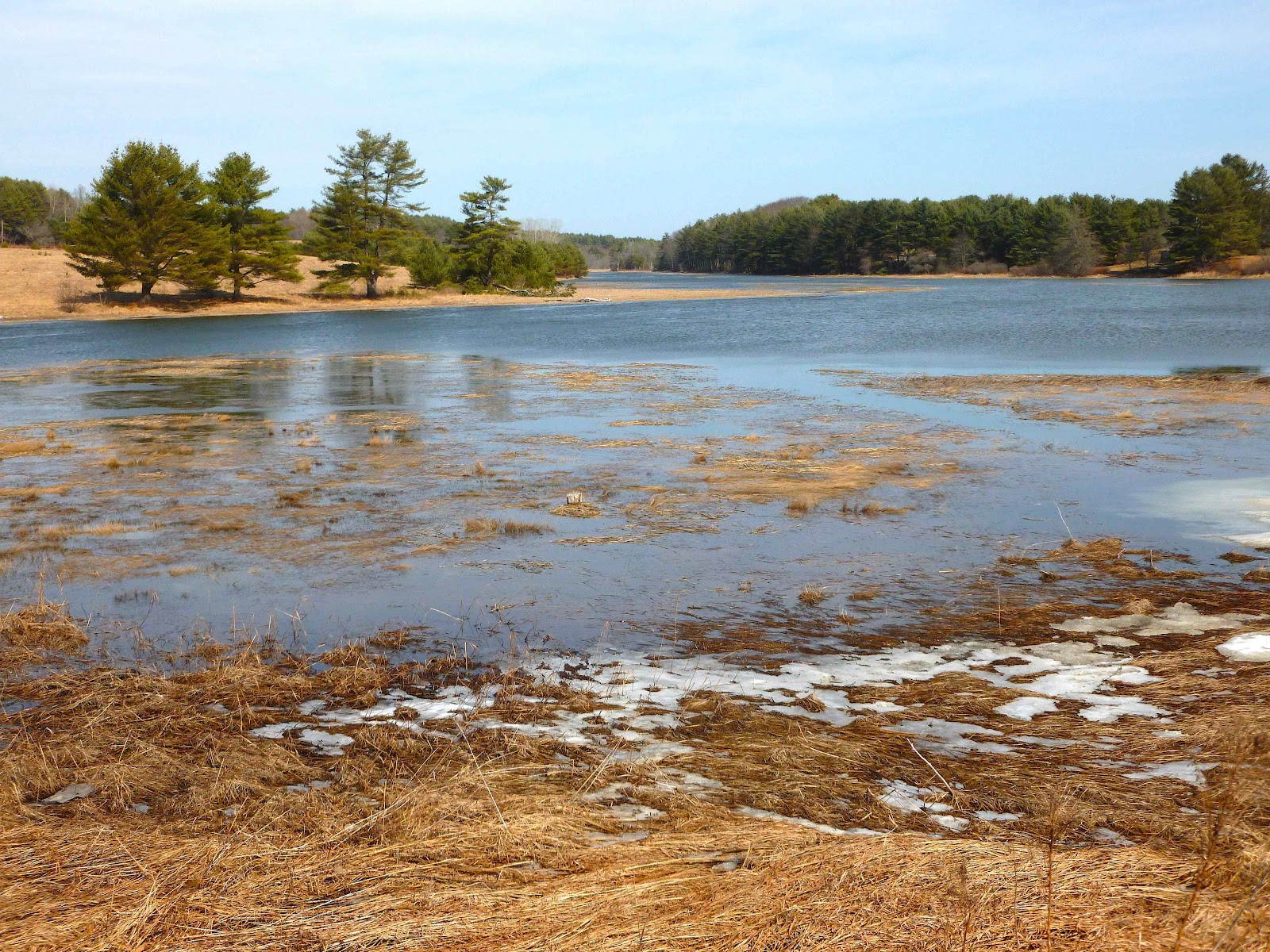 High Tide in the Salt Marsh: One Day Spring