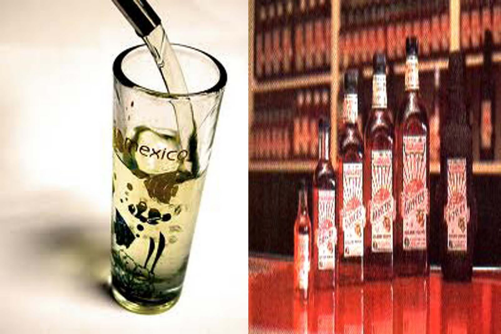 10 bebidas tradicionales de México