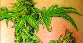 So accurate, so detailed, marijuana tattoo. Real masterpiece! Tattoos ...