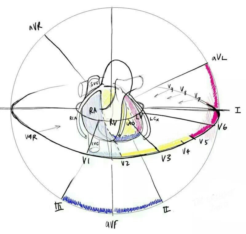Urgencias y emergencias: Las derivaciones del electrocardiograma (I)