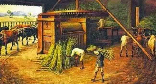 Historia para o ENEM: História do Brasil - Sociedade Colonial