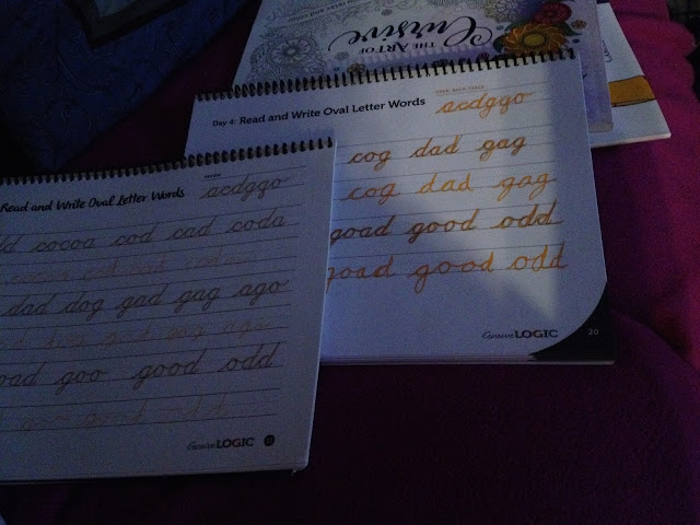 Puddle Jumping: Homeschool Review Crew - CursiveLogic