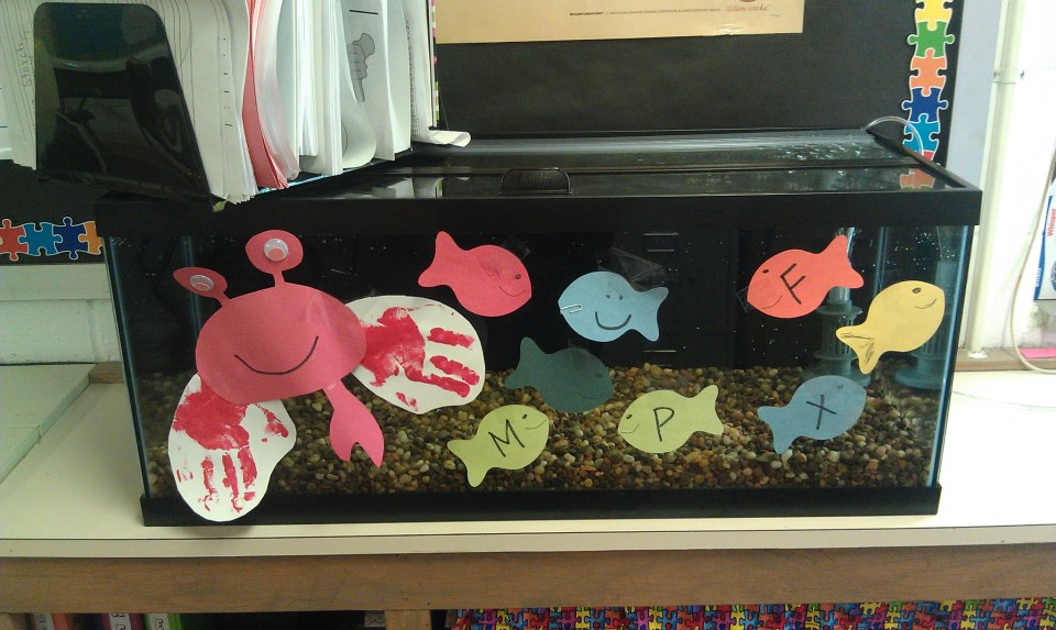 Self-Contained Classroom: A Teacher Aide's Experience: Fish Tank