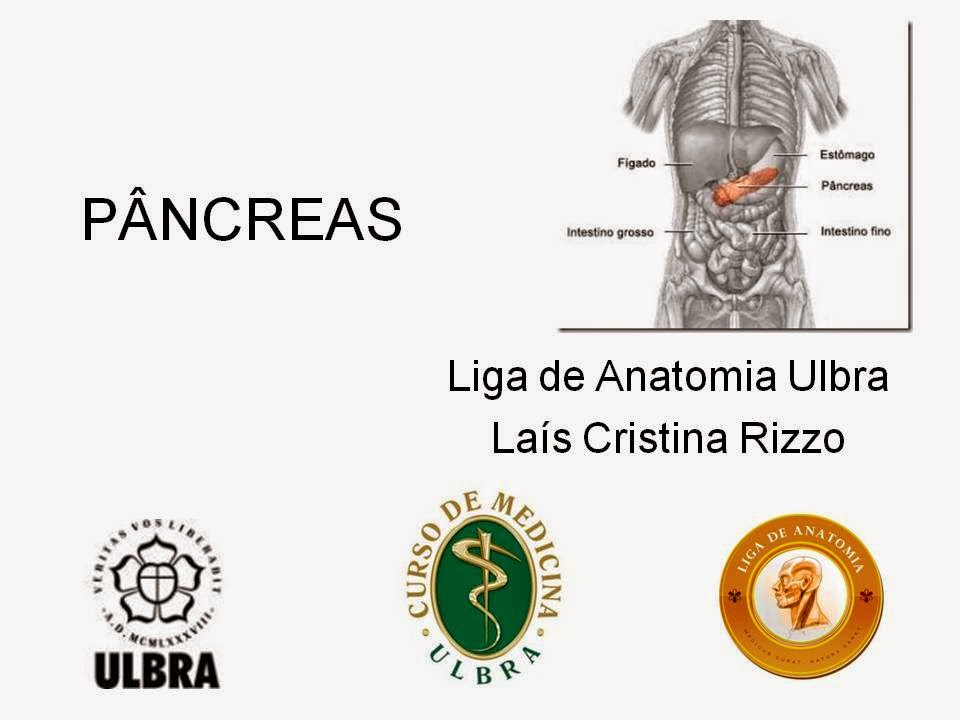 Liga de Anatomia ULBRA: PÂNCREAS
