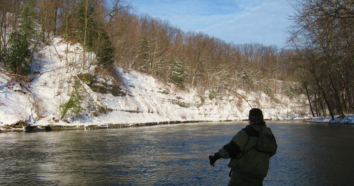 Traveling Angler: Steelhead Alley
