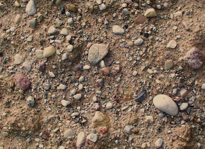 Expedition Earth: Boulder clay