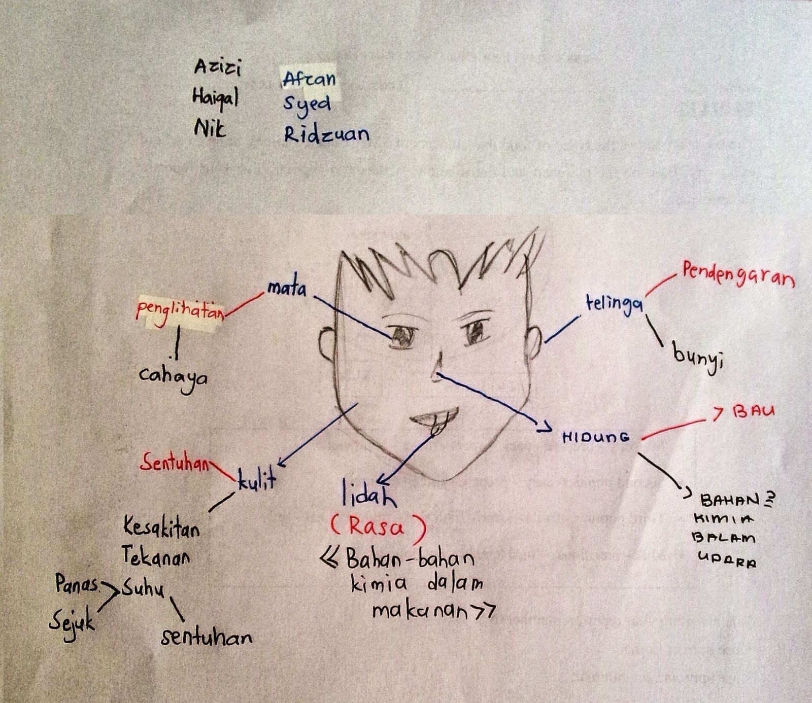 Explore to Koh's Science World ( Blog Sains): 5 organ deria (hasil ...