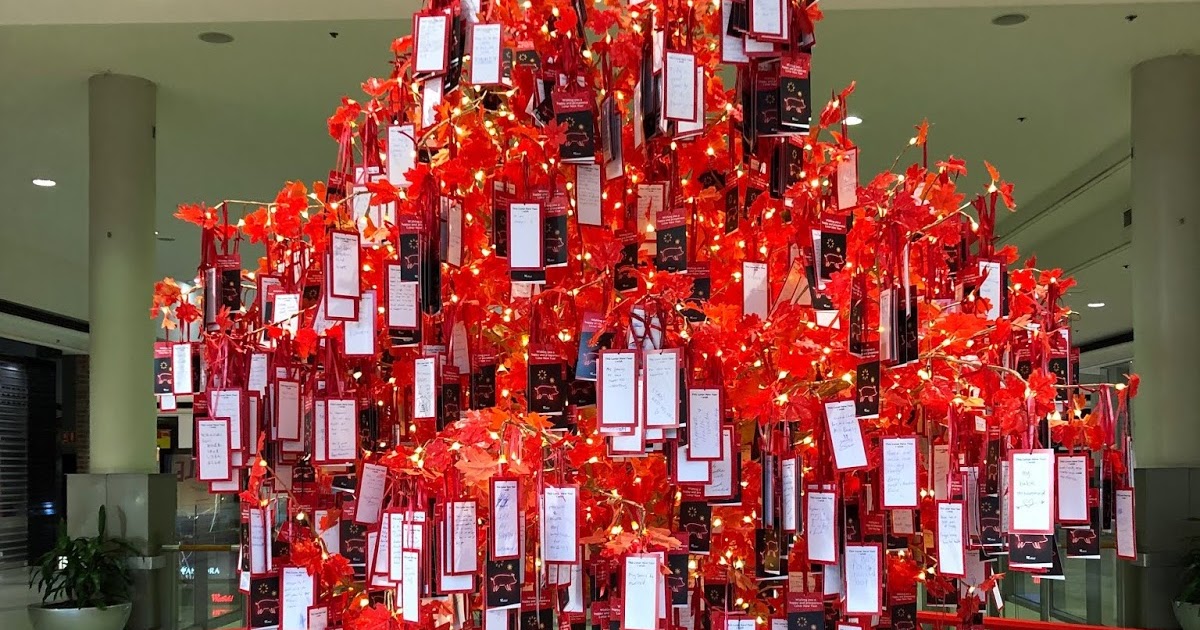 PsychNanny: The Wishing Tree