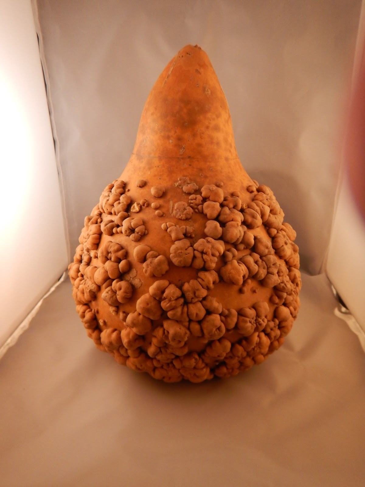 Tiny Tool Time: A New Gourd Project