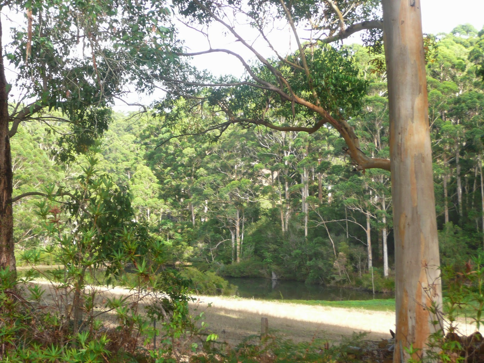 MobileMarshies: MANJIMUP 3 - PEMBERTON, POINT D'ENTRECASTEAUX AND MORE ...