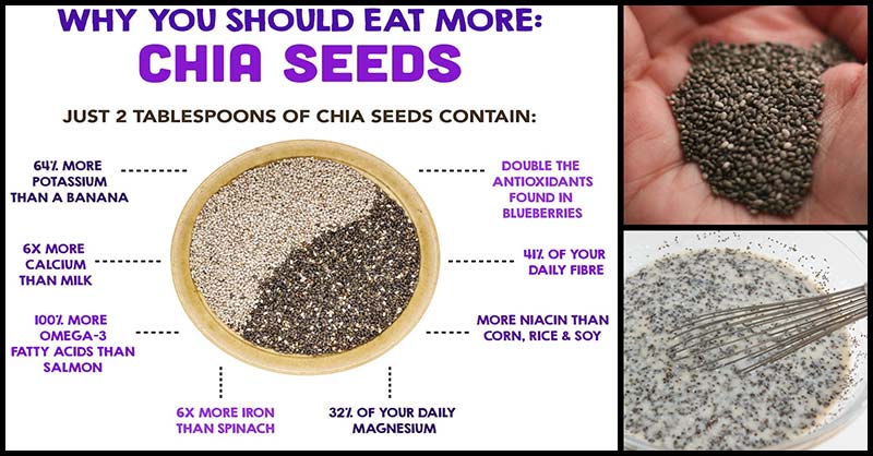 Chia Seeds: A Fiber-Rich Food We Need To Add Into Our Diet | Dr Farrah MD