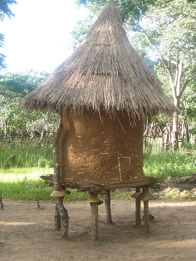 and the Luminously Trivial.: Reasons to go to Africa.