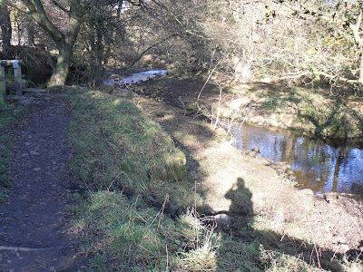 Rambling Nana: Wolsingham, Tunstall Reservoir Circular