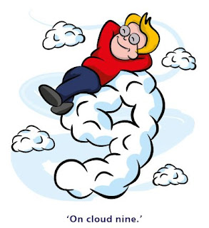 F.C.E : What's the meaning? On cloud nine, as happy as Larry...