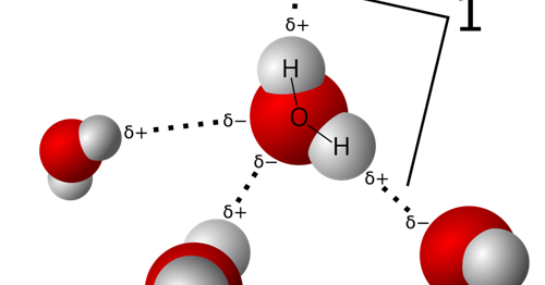 Things We Don't Know: Carbon-Based Hydrogen Bonding