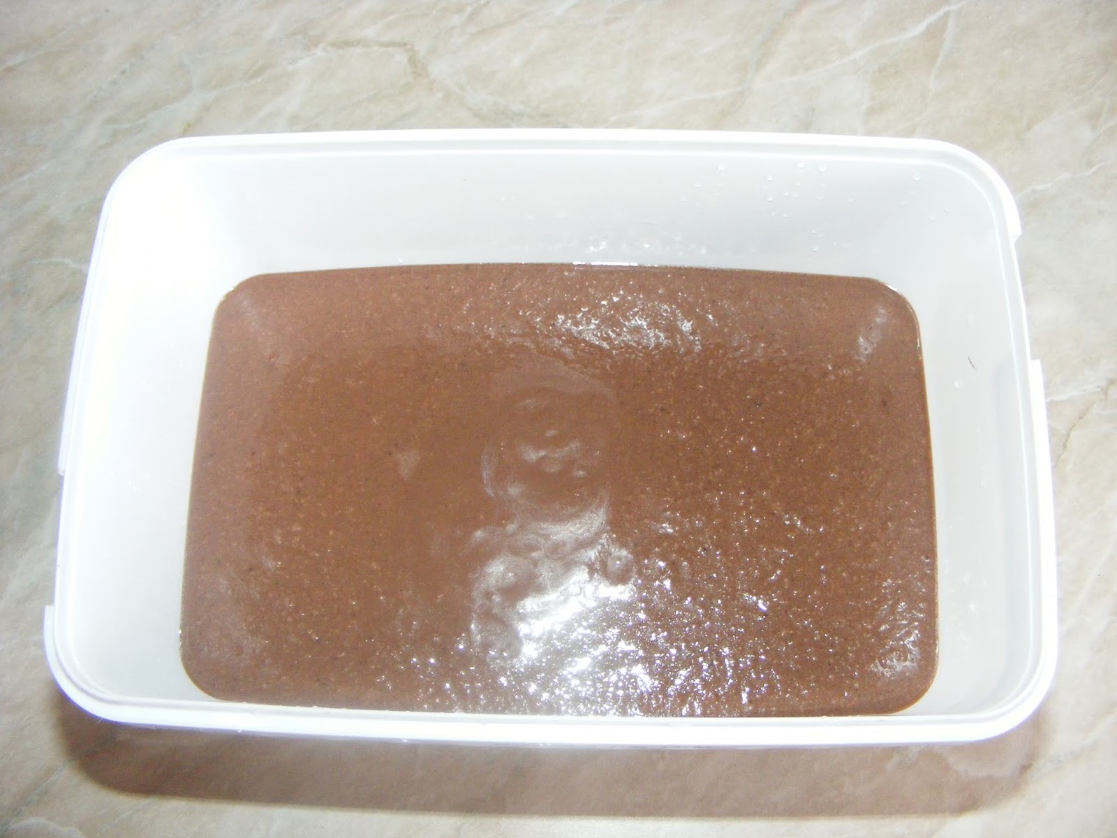 Inghetata Casata de casa | Preparatedevis.ro