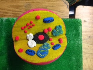 Ms. Salzburg's Science Classroom: The Cell Museum