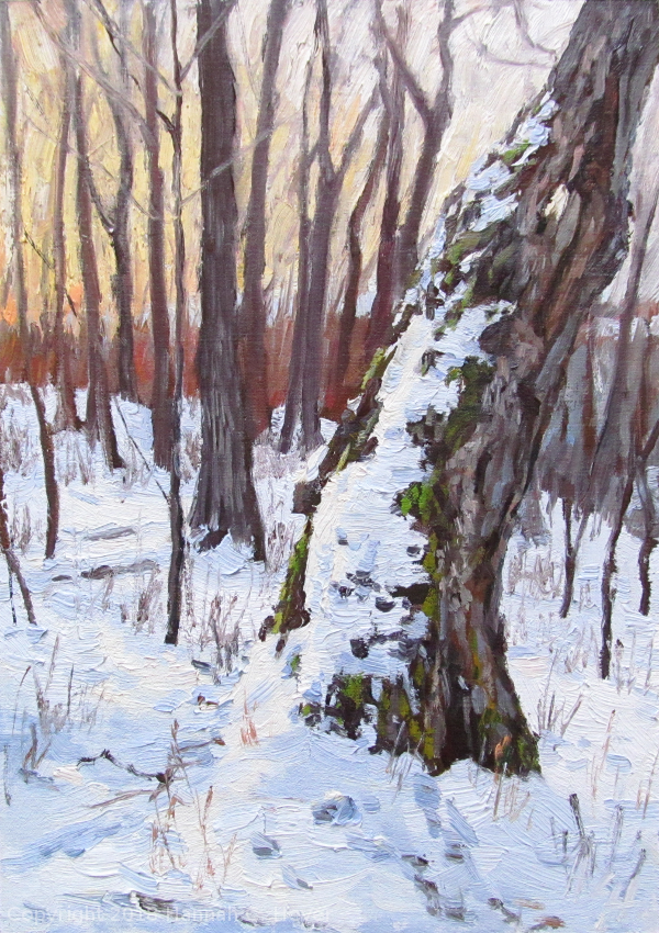 the art of Hannah C. Heyer