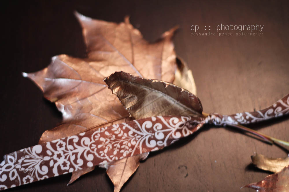 sassafras: liquid leaf :: project idea
