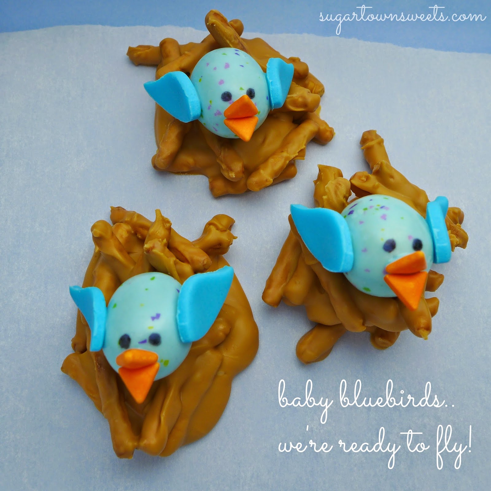 Sugartown Sweets: Bluebirds in Candy Nests