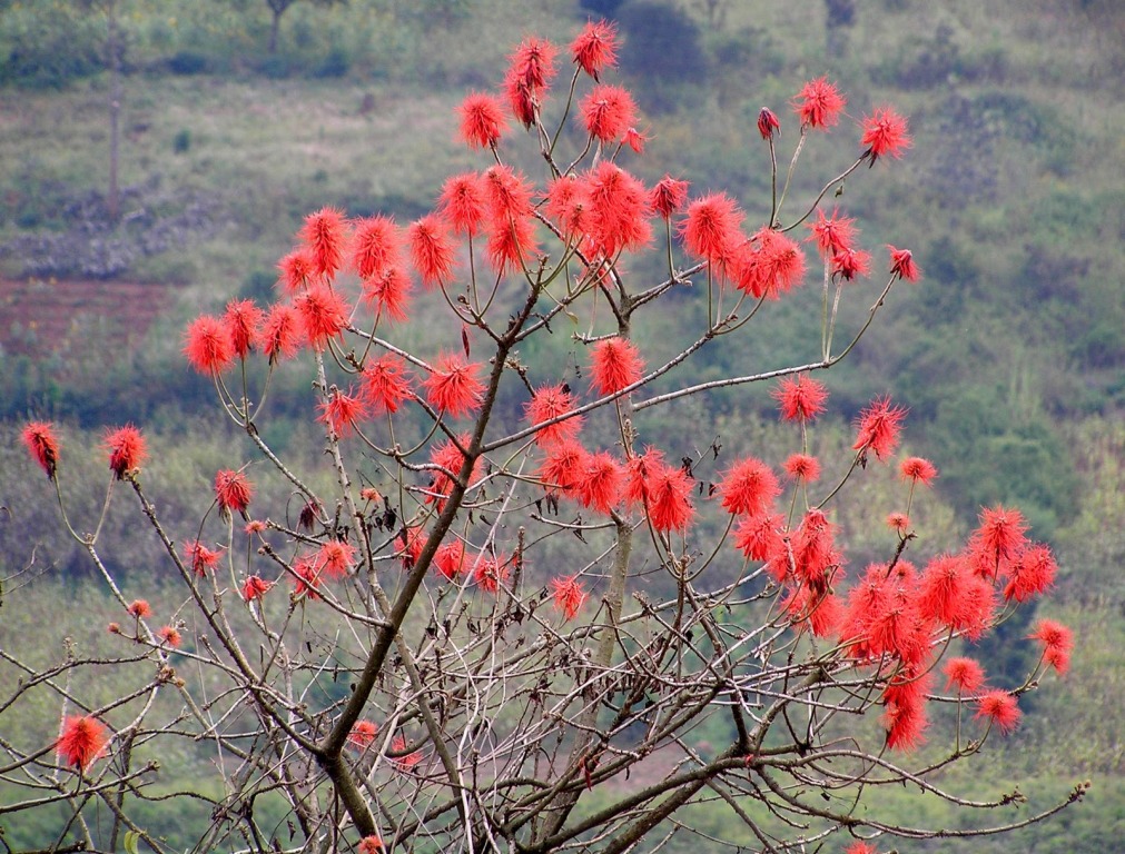 granica mroku i światła: Ryangombe i Nyabingi