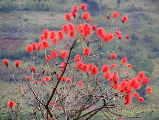 granica mroku i światła: Ryangombe i Nyabingi