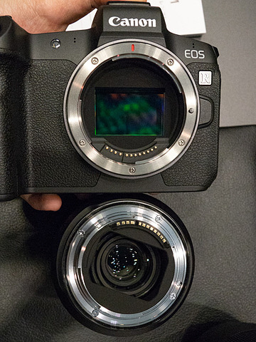 Michael Daniel Ho - The Wildlife Ho-tographer: Canon Explains The ...